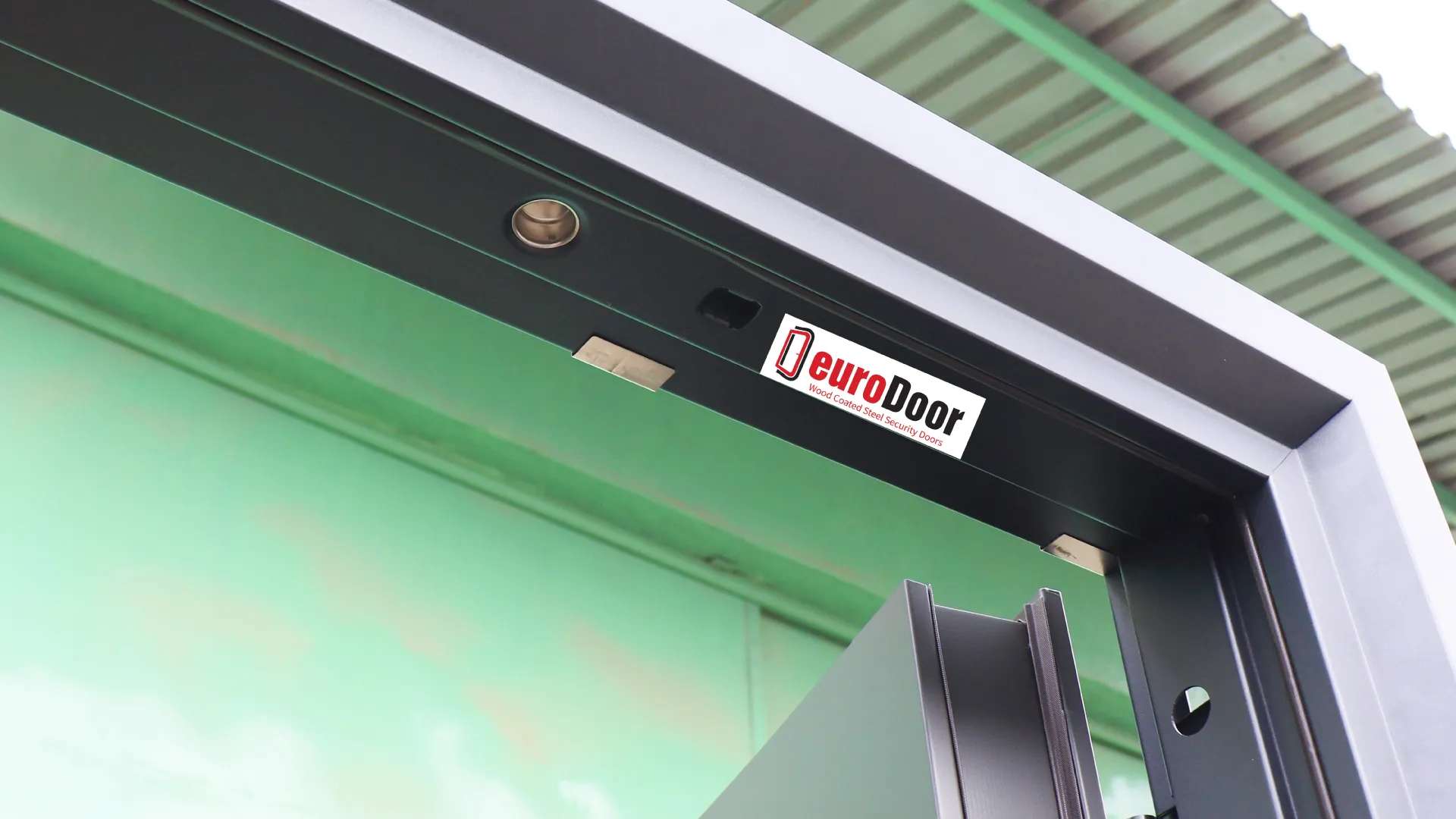 Introducing the Matte Titanium Mesh Steel Door in Kenya