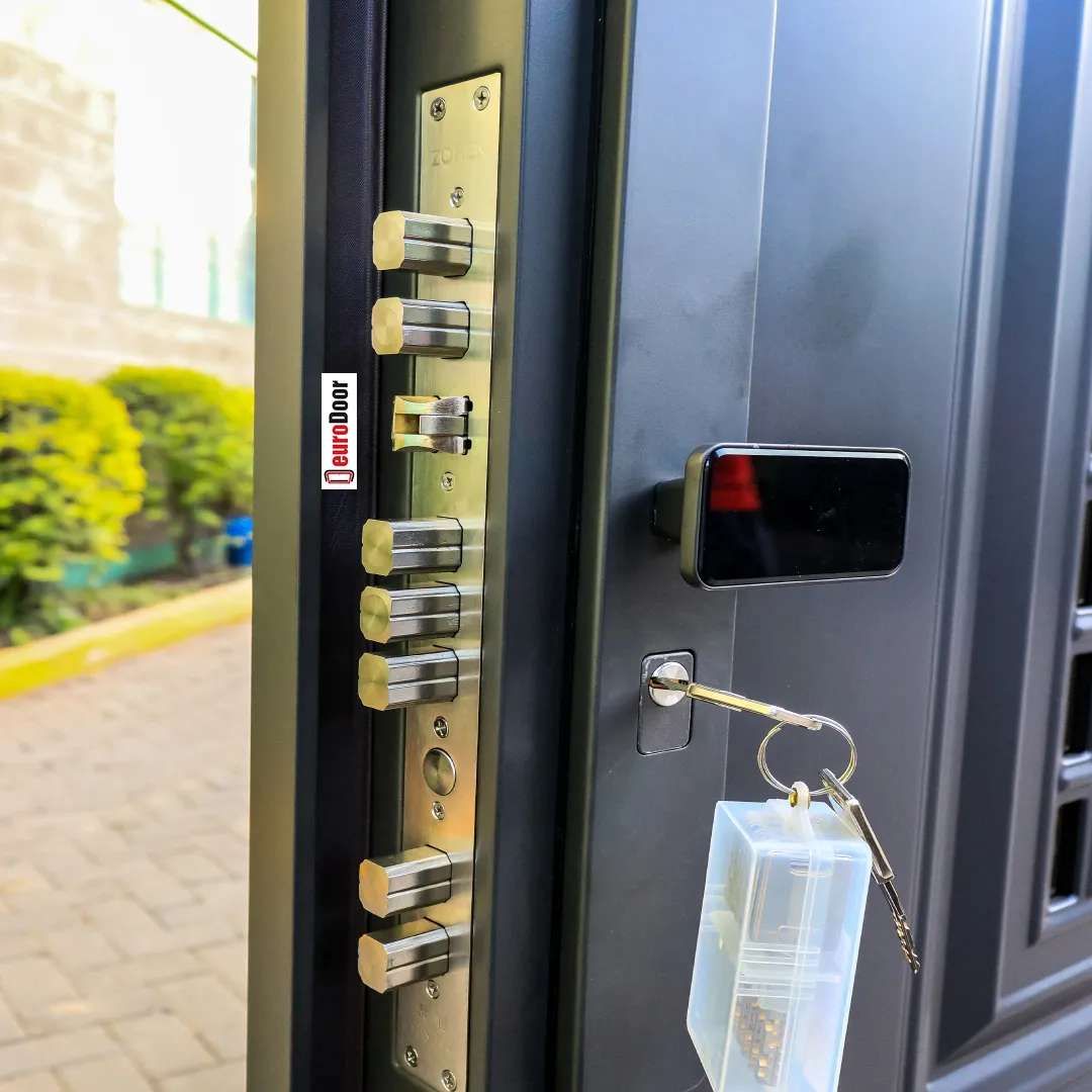 Introducing the Matte Titanium Mesh Steel Door in Kenya